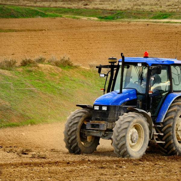 Deeside Country Store